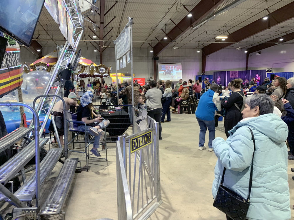 Winter fair bounces back - DiscoverWestman.com - Local news, Weather ...