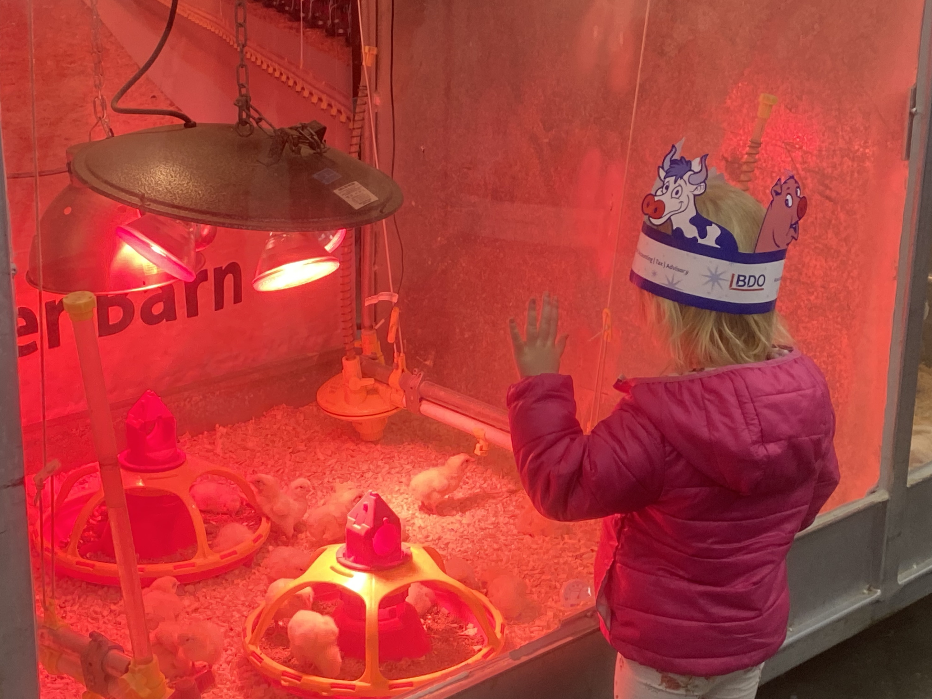 KIDS, CRITTERS, AND MORE AT THE ROYAL MB WINTER FAIR! - DiscoverWestman ...