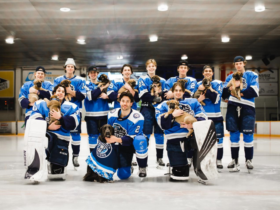 All 10 Pistons puppies leave animal rescue and find their forever homes ...