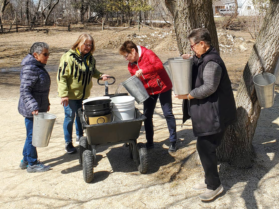 Maple harvest exceeds low expectations - SteinbachOnline.com - Local ...