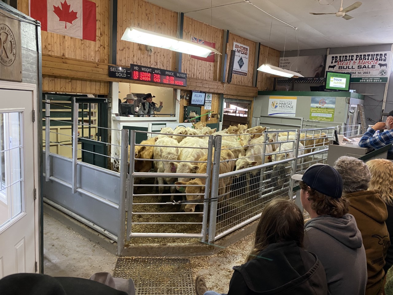 Killarney Auction Mart hosts provincial auctioneering competition ...