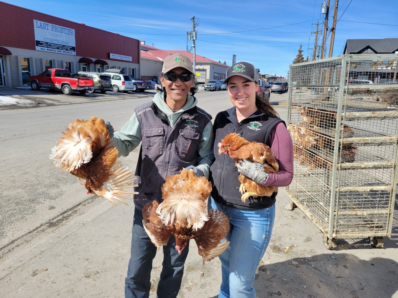 Chicken day in Cochrane a sure sign of spring - CochraneNow: Cochrane ...
