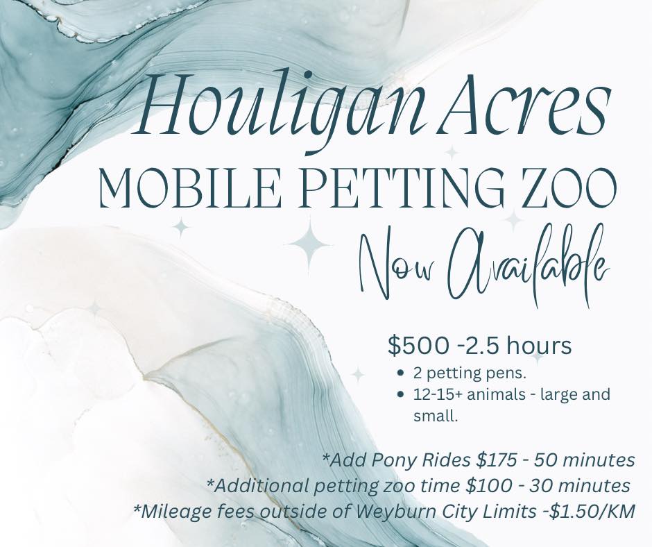 Houligan Acres now bringing its zoo to you! - DiscoverWeyburn.com ...