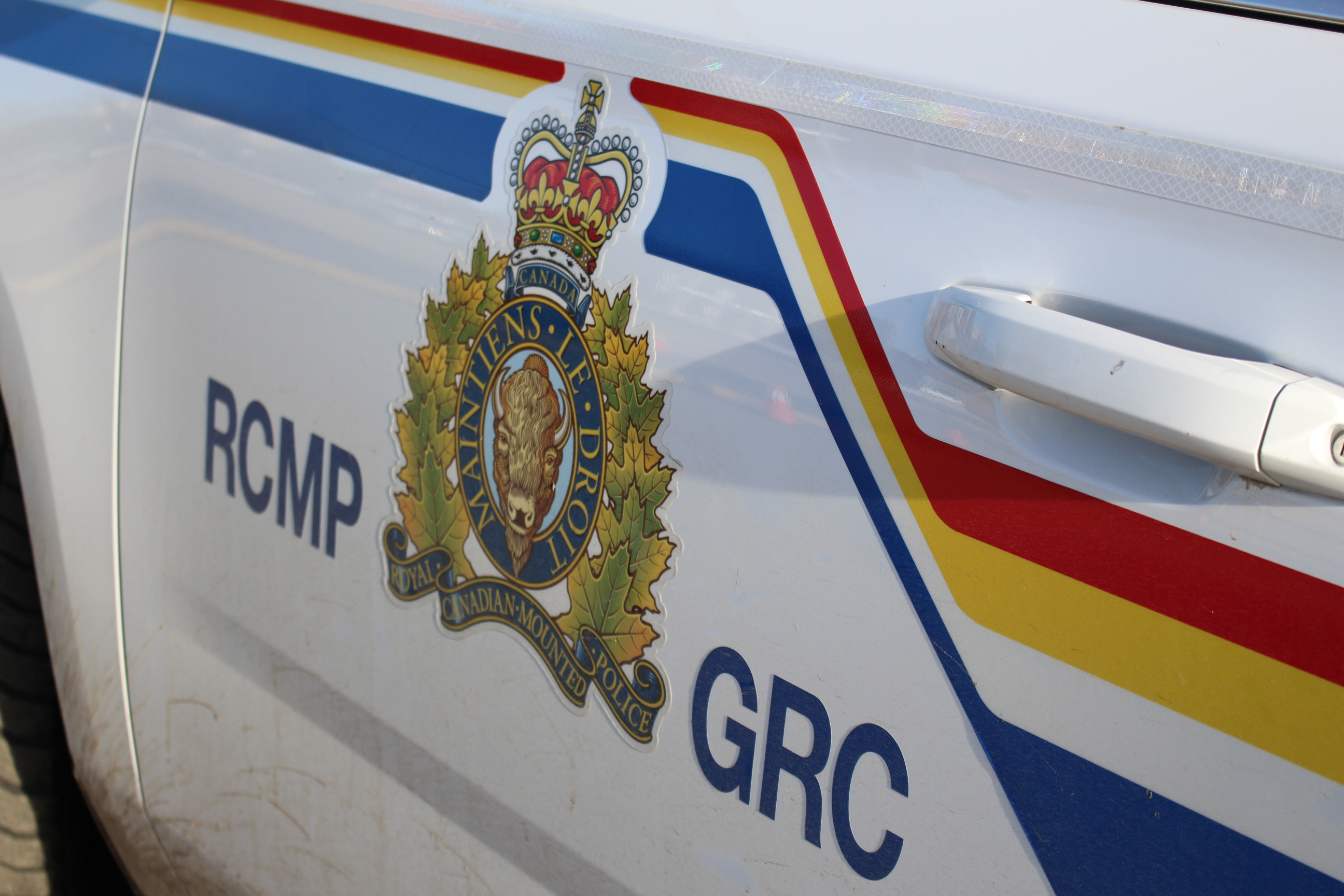 Penhold man arrested after high speed chase and RCMP dog pursuit ...