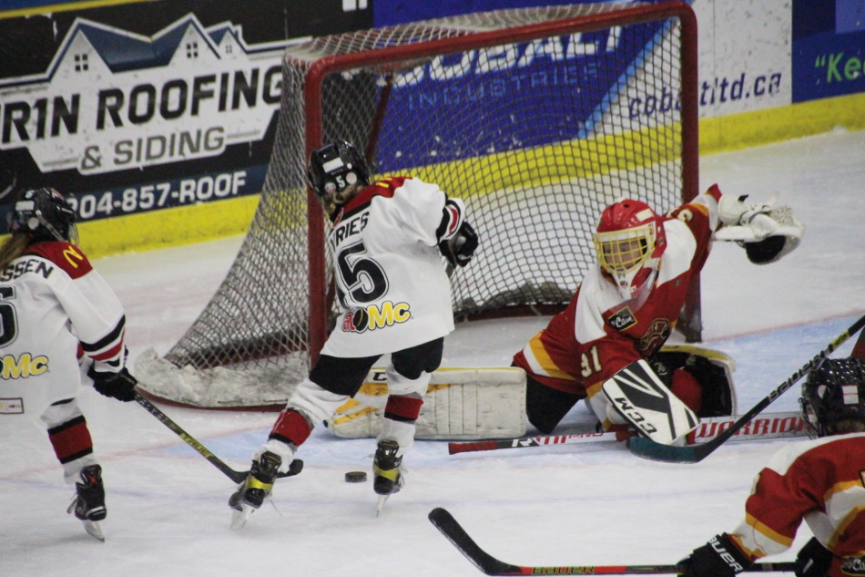 Portage Minor Hockey opens 2023-24 registration - PortageOnline.com ...