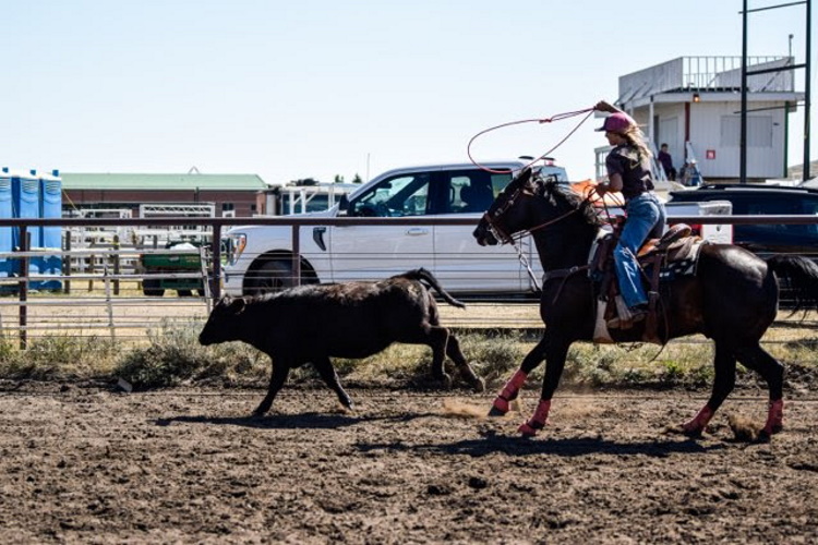 Strathmore rodeo school returns for 2023 - StrathmoreNow.com - Local ...