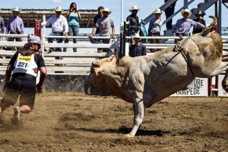 Strathmore rodeo school returns for 2023 - StrathmoreNow.com - Local ...