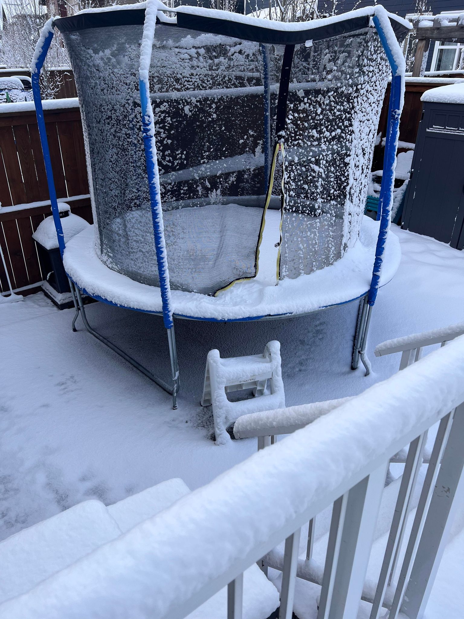 No joke, up to 10cm of snow on the way today - CochraneNow: Cochrane ...
