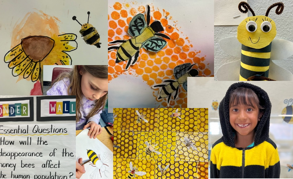 Crescentview school a-buzz with bee presentation for the public ...