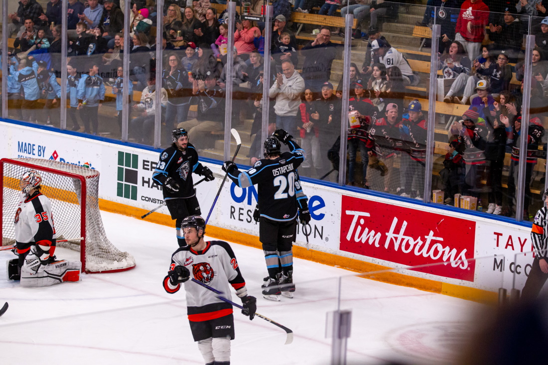 Sportsbeat - Winnipeg Ice forward Conor Geekie - DiscoverWestman.com ...