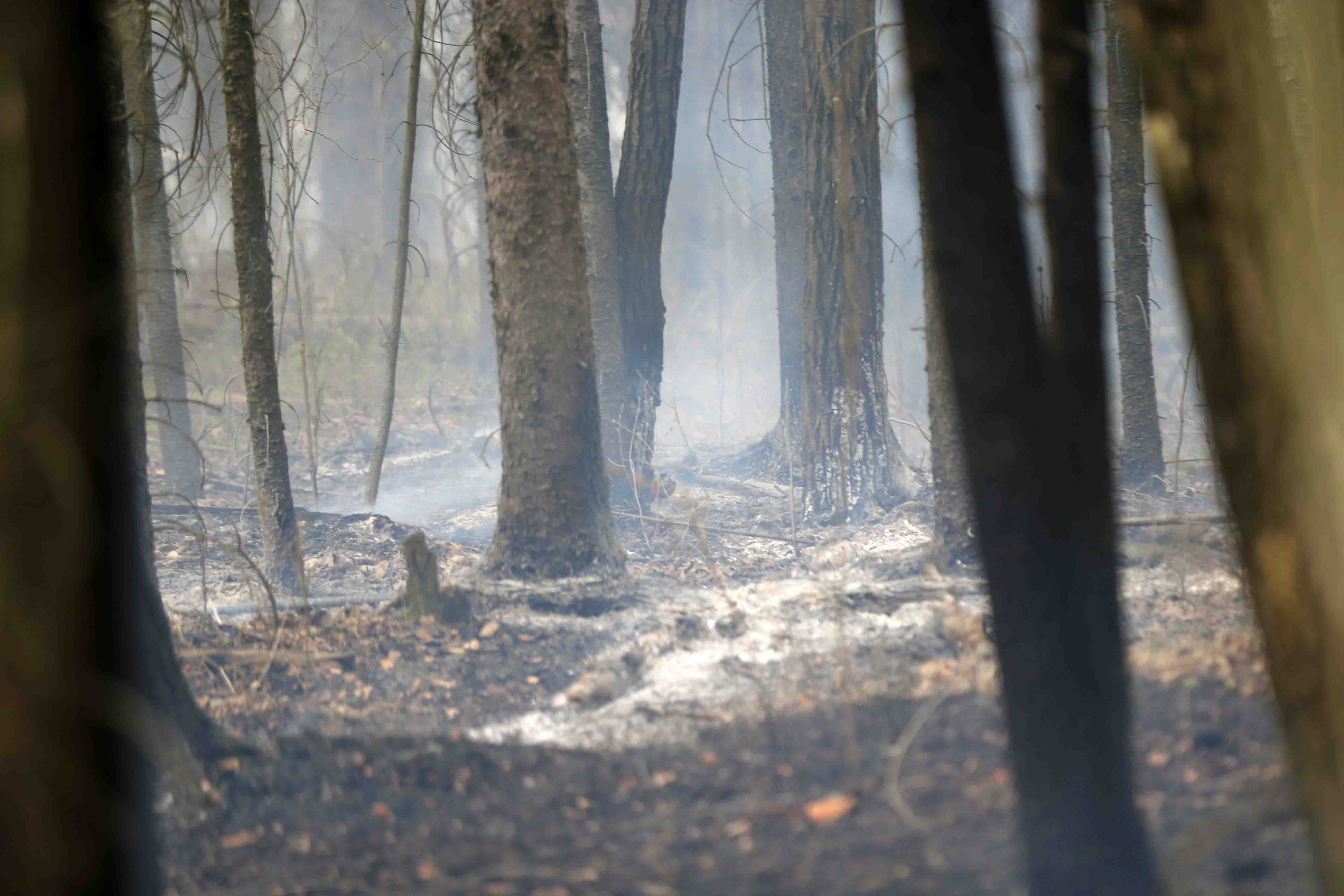 Gallery: Province declares state of emergency as wildfires spread ...
