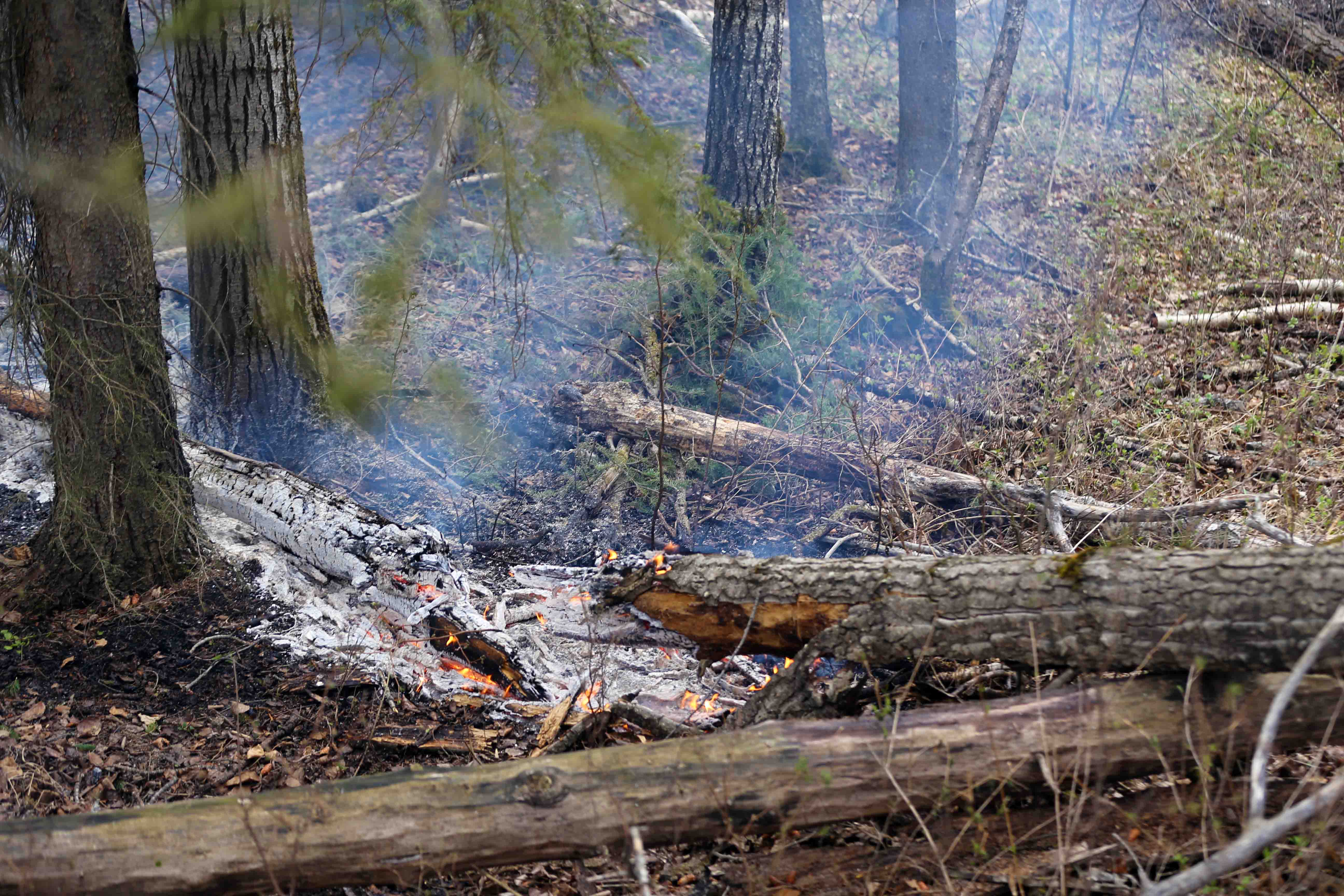 Gallery: Province declares state of emergency as wildfires spread ...