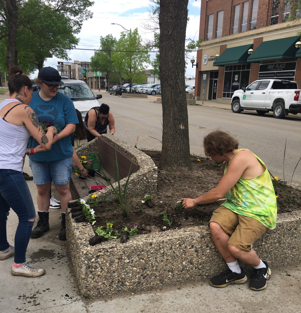 Adopt-A-Planter program: CMHA beautifying downtown Weyburn ...