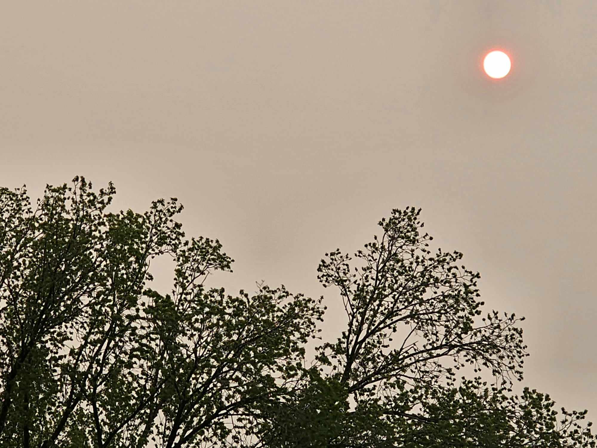 Elevated pollution levels prompt air quality statement - CochraneNow ...