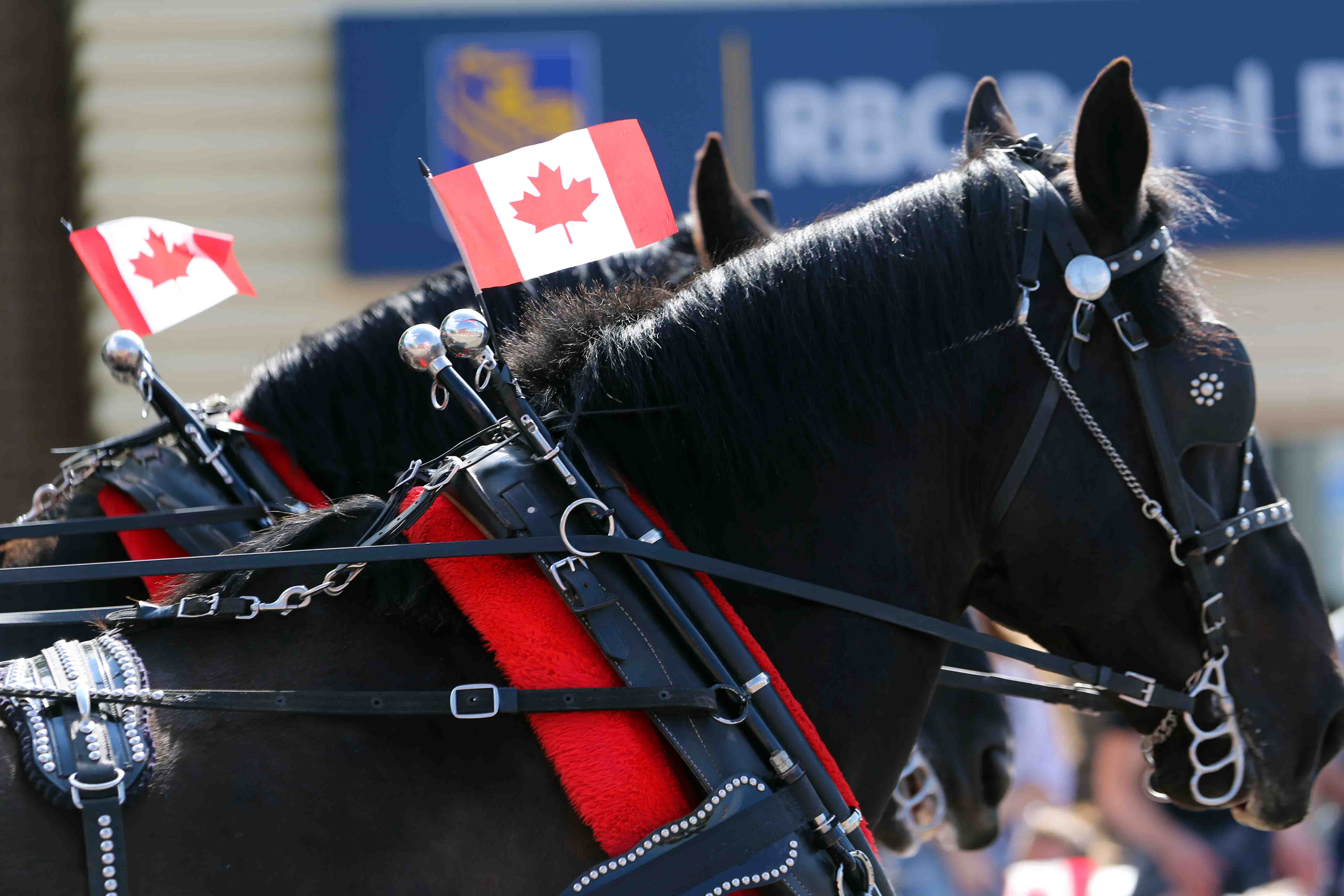 Airdrie's Canada Day Parade route announced - DiscoverAirdrie.com ...