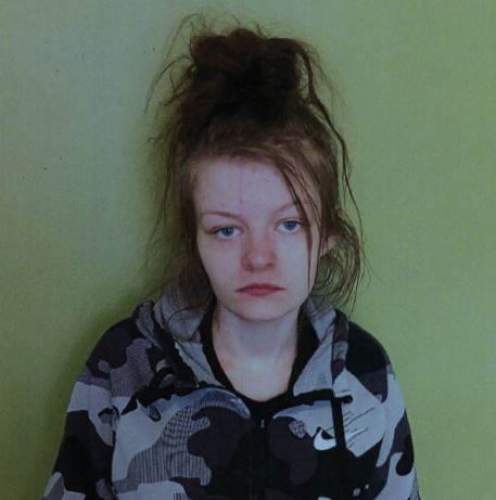 Red Deer RCMP search for missing 17-year-old girl ...