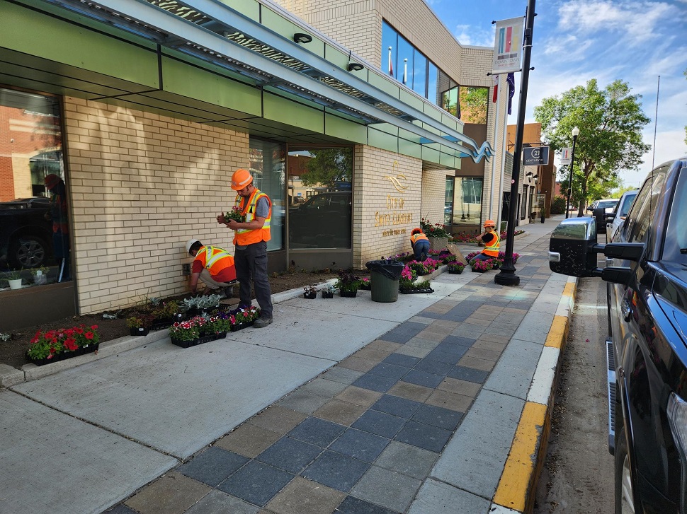 Swift Current parks blooming with completed flower planting ...