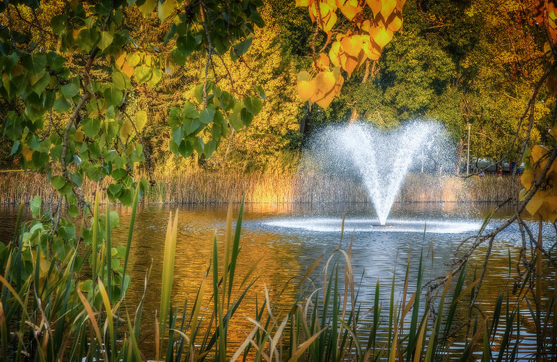 National award winning photographer donating proceeds to library ...