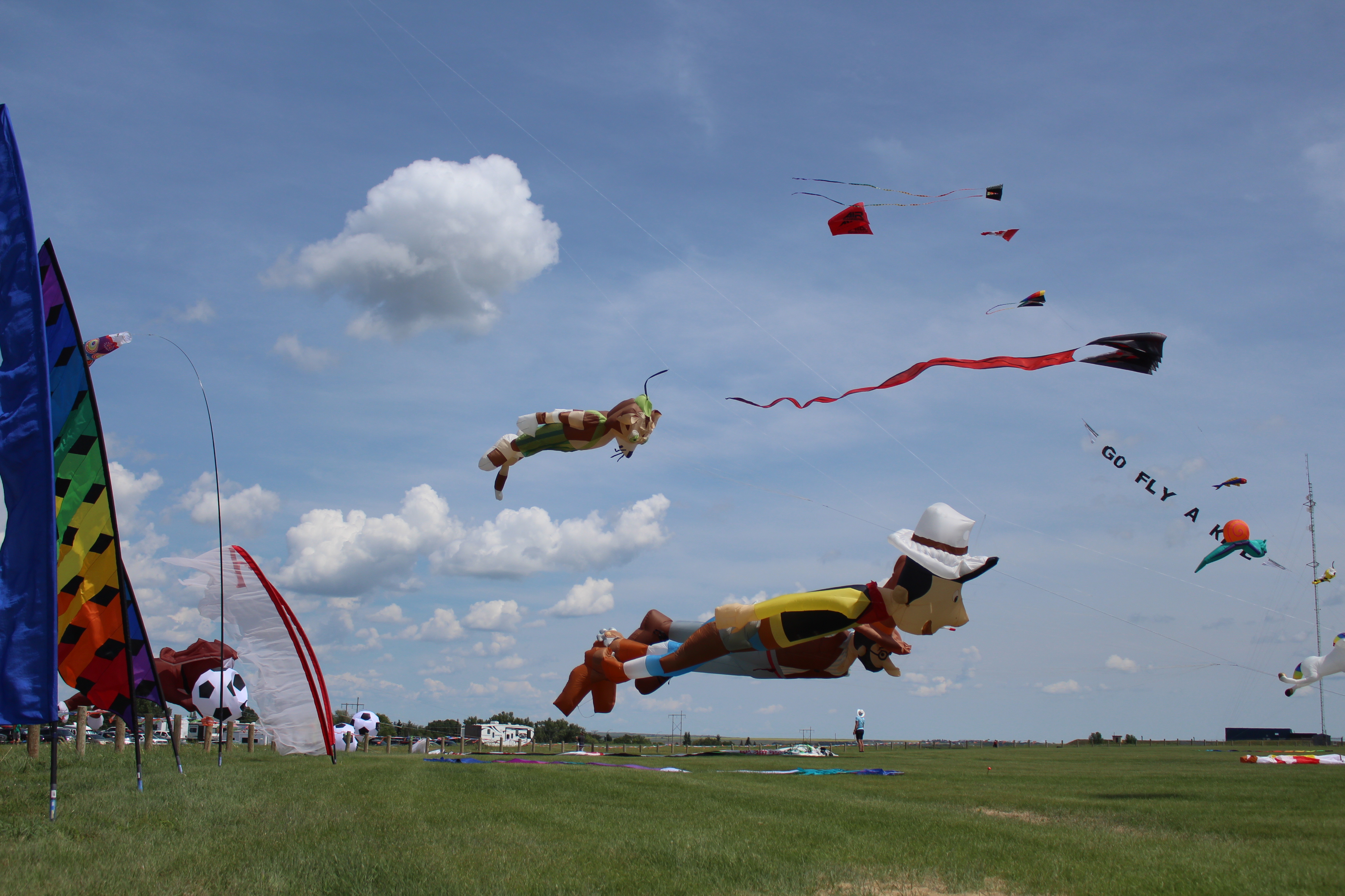 Kite Fest brings life to the skies - SwiftCurrentOnline.com - Local ...