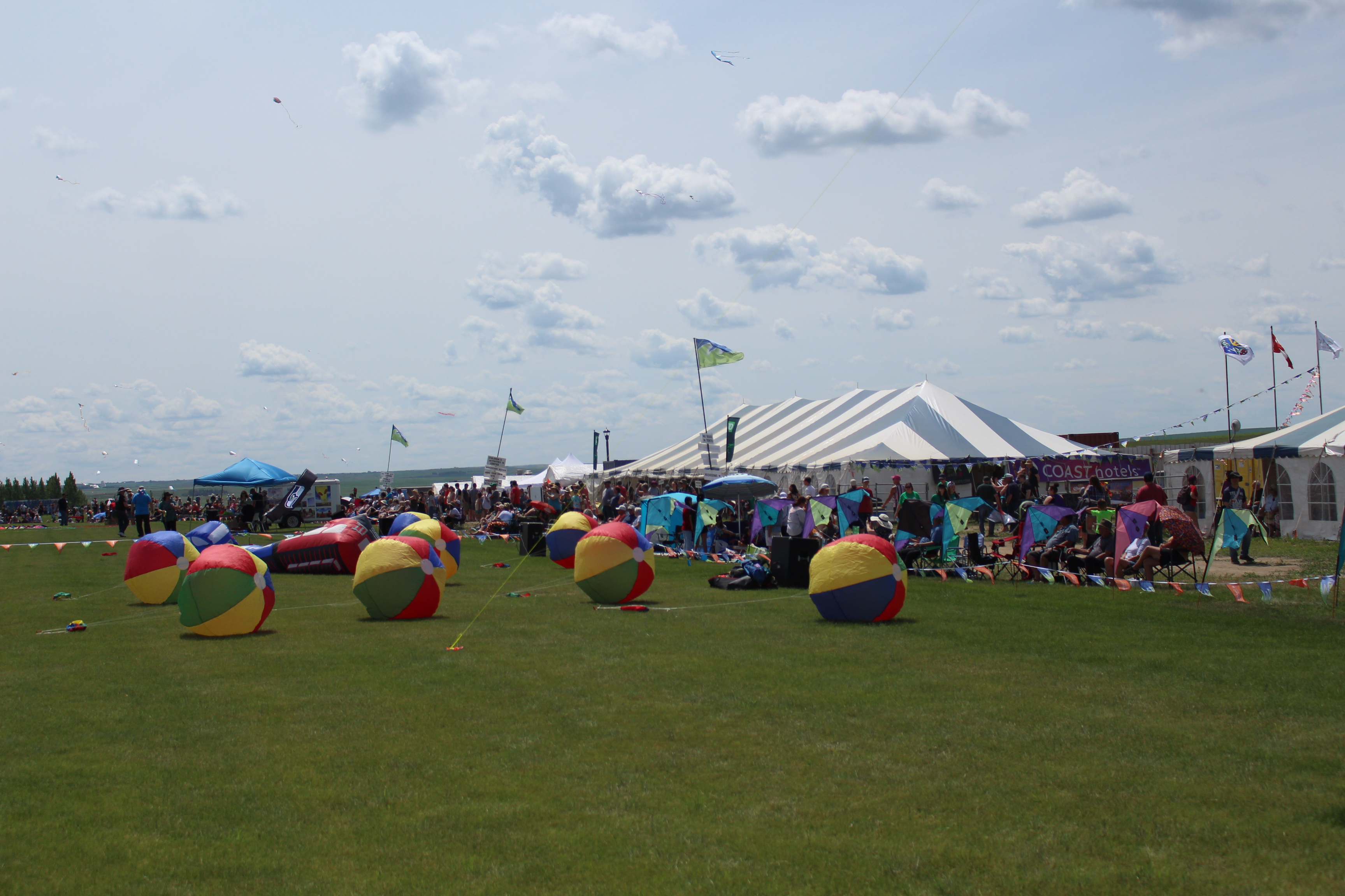 Kite Fest brings life to the skies - SwiftCurrentOnline.com - Local ...