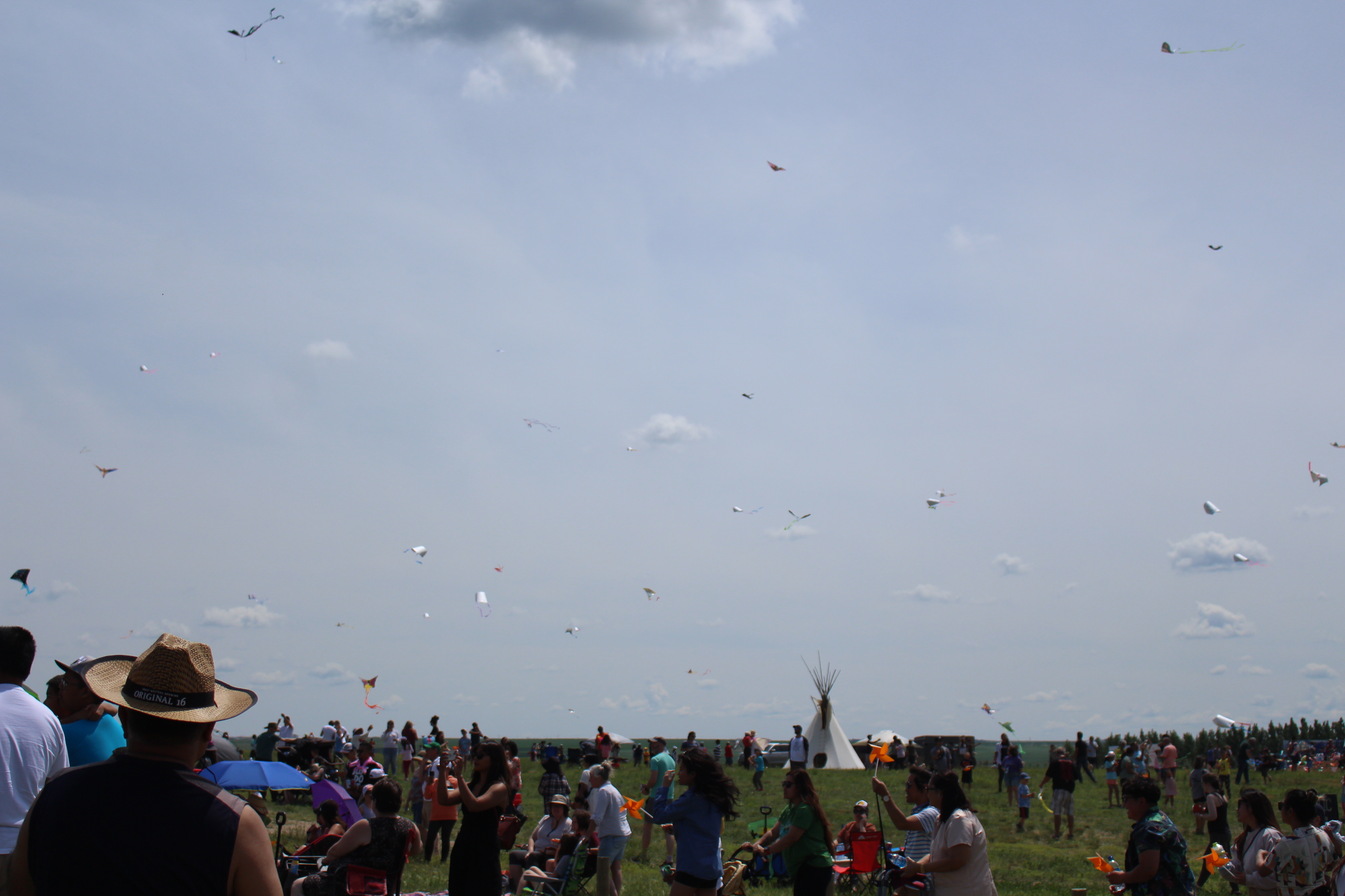 Kite Fest brings life to the skies - SwiftCurrentOnline.com - Local ...