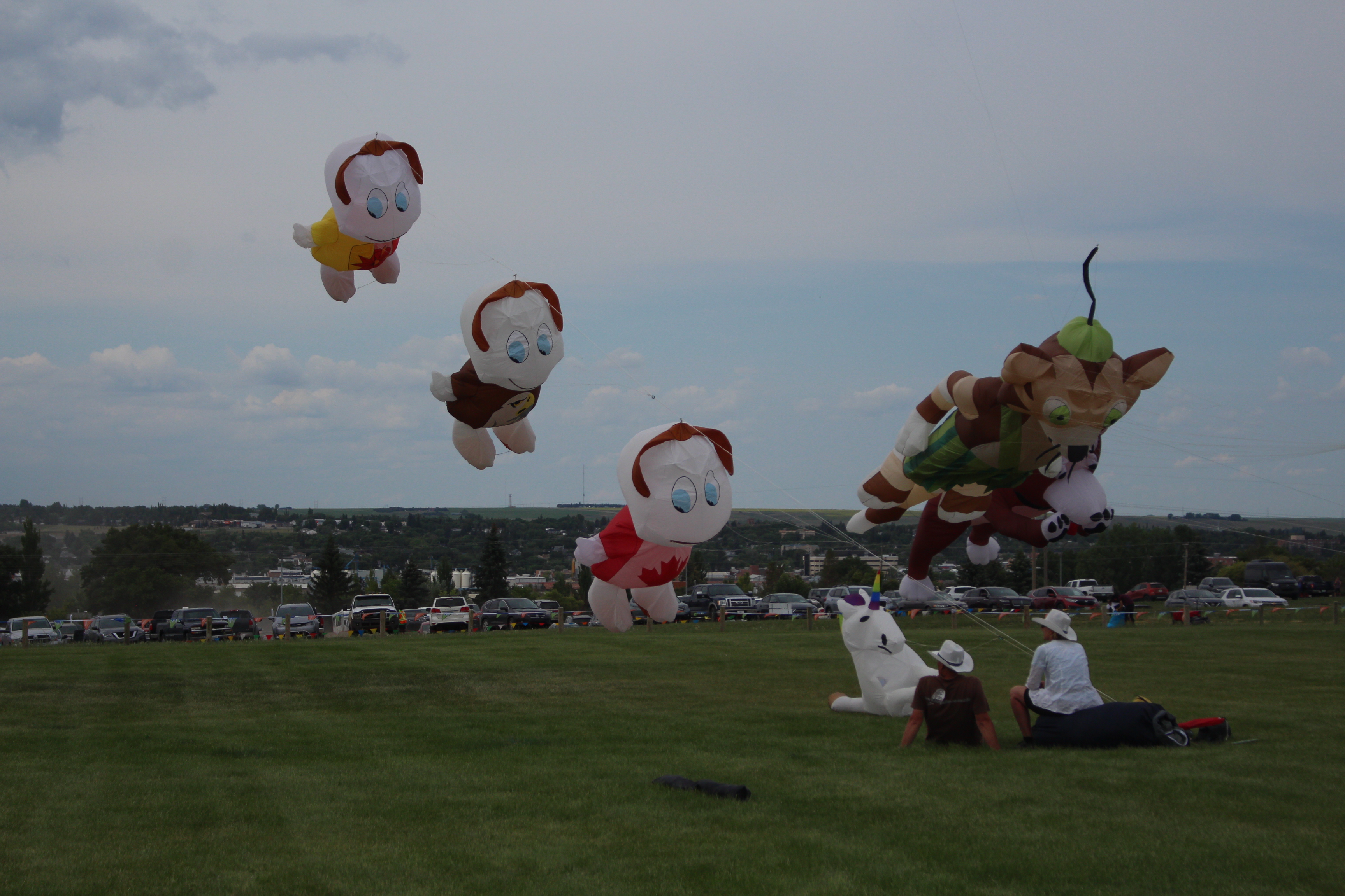 Kite Fest brings life to the skies - SwiftCurrentOnline.com - Local ...