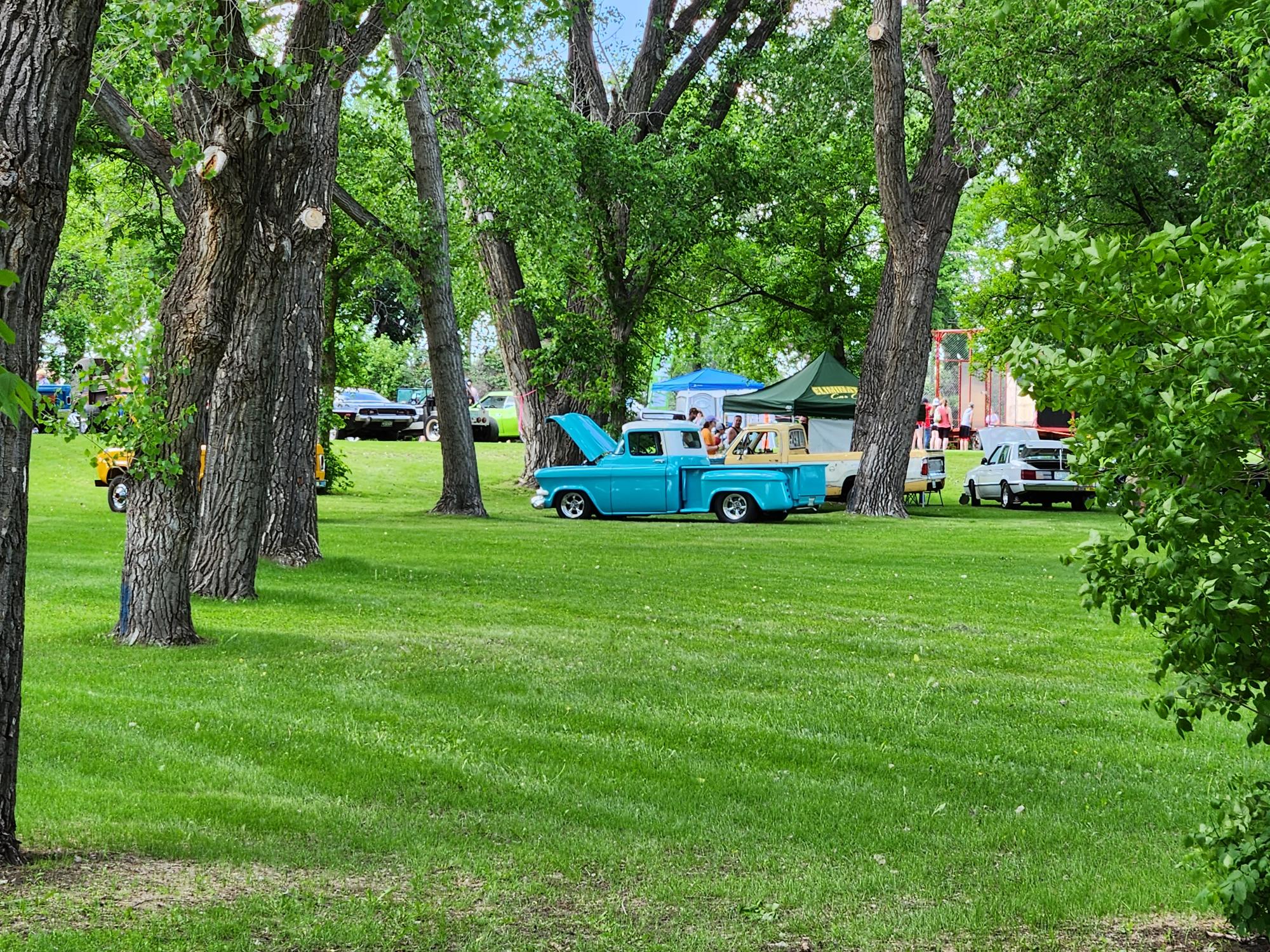 Swarms attend Picnic in the Park - SwiftCurrentOnline.com - Local news ...