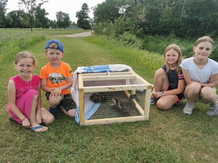 Mama duck and babies return to St. Mary's Villa - DiscoverHumboldt.com ...