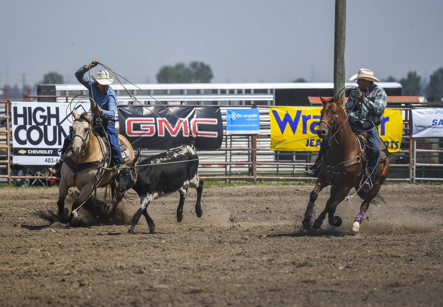Locals doing well at Stavely Rodeo - OkotoksOnline.com - Local news ...