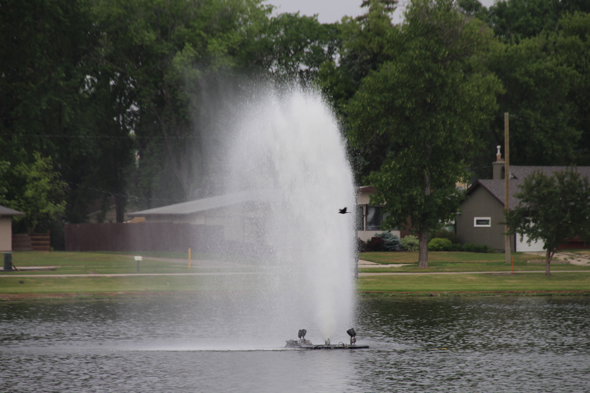 It's the first day of summer and yesterday was a scorcher! How hot did ...