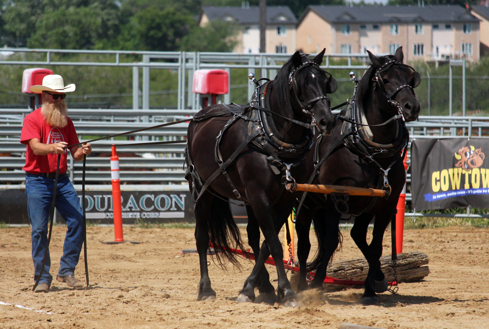 Stoneboat barrel races adds fun to day one of Frontier Days ...