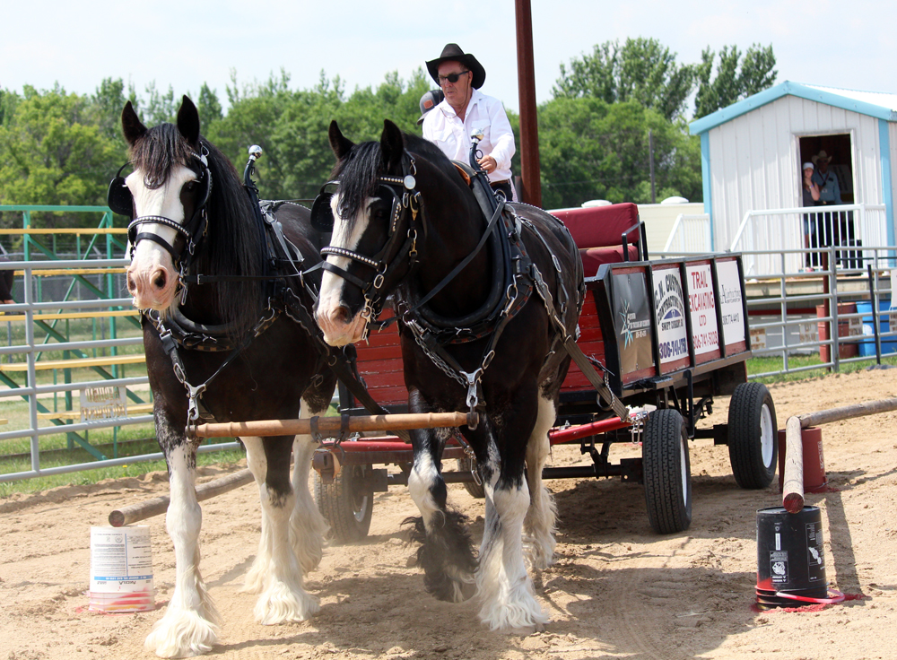 Stoneboat barrel races adds fun to day one of Frontier Days ...