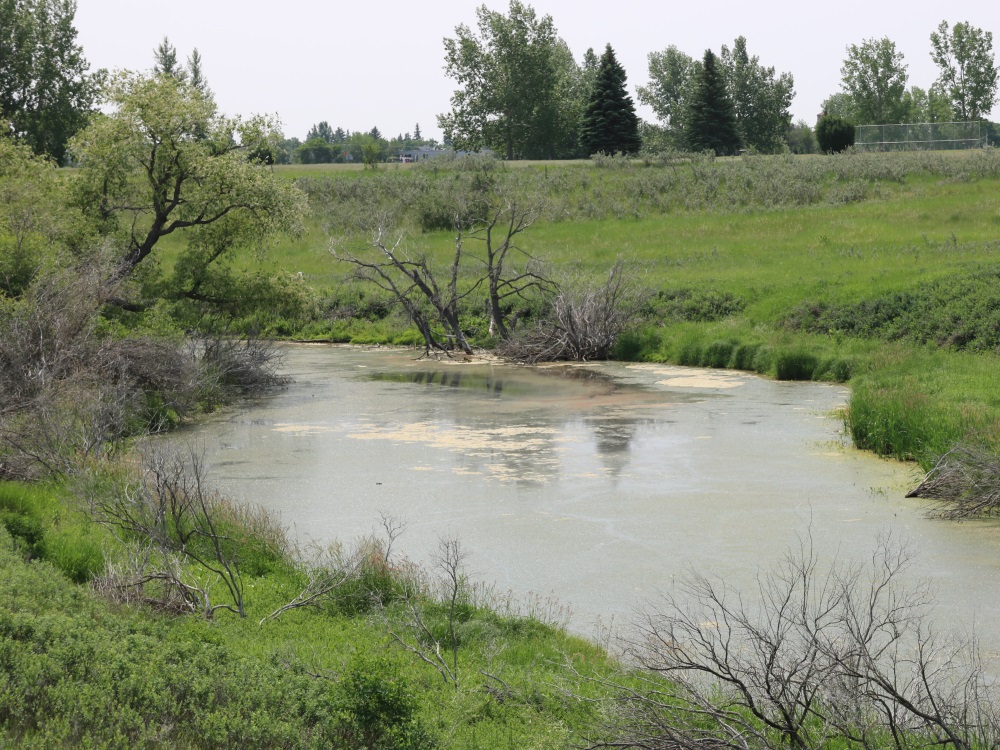 City to assess Spring Creek's storm systems - DiscoverMooseJaw.com ...
