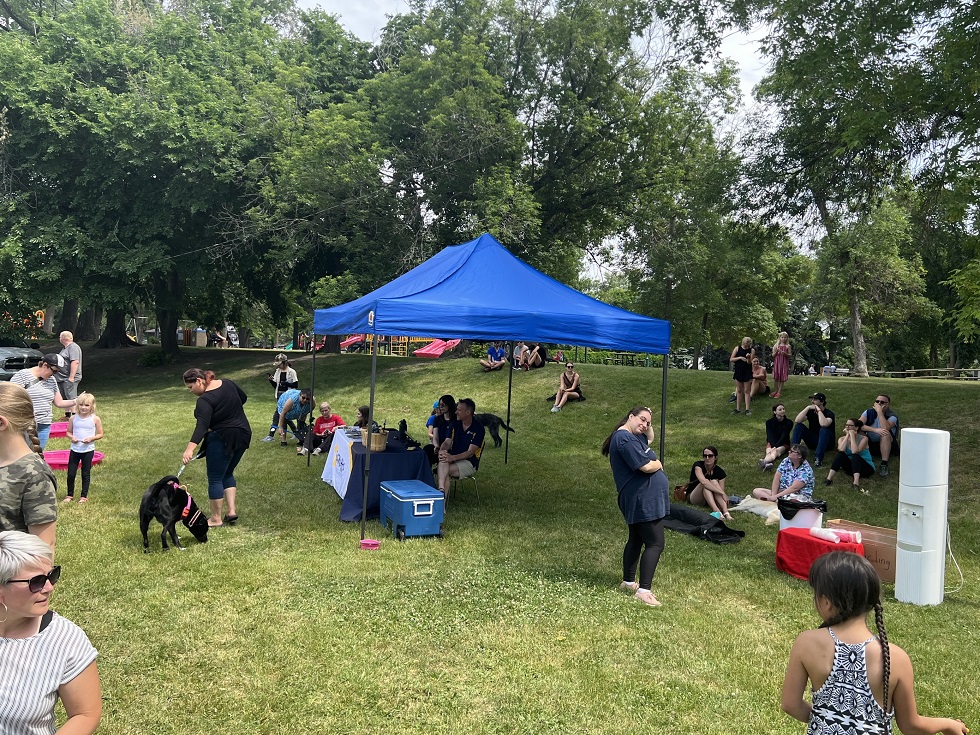 Record number of registrants for annual Steps for Pets Walkathon ...