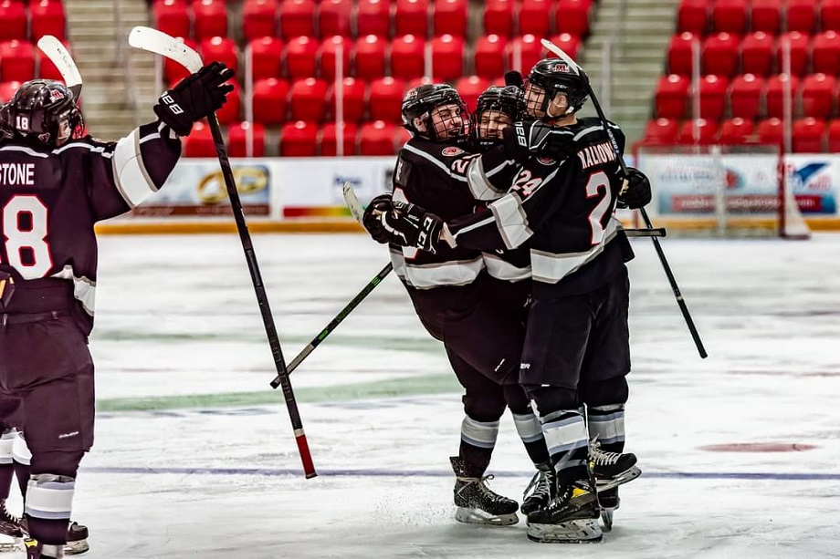 Red Deer Vipers to hit the ice again in September ...