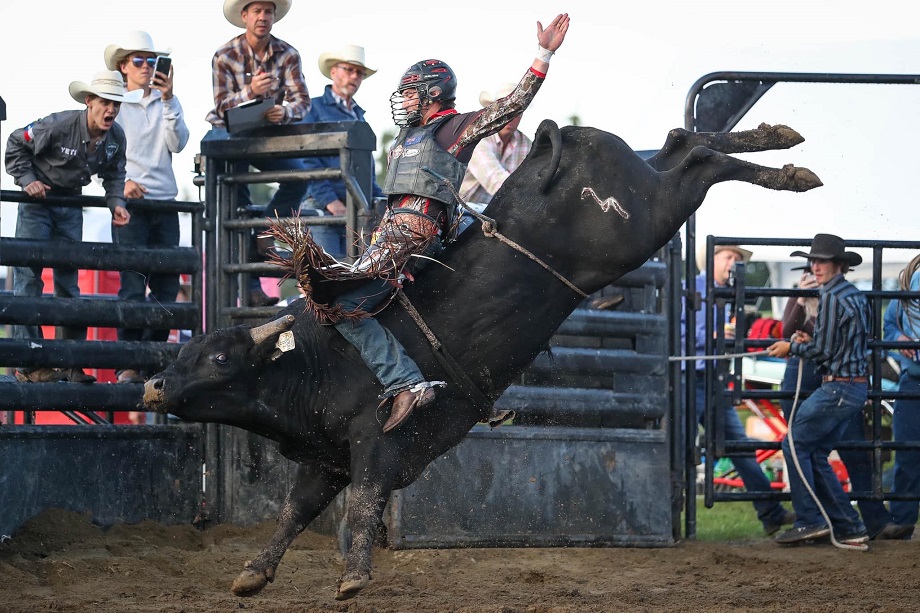 Lacombe Pro Bull Riding kicks off today - CentralAlbertaOnline.com ...