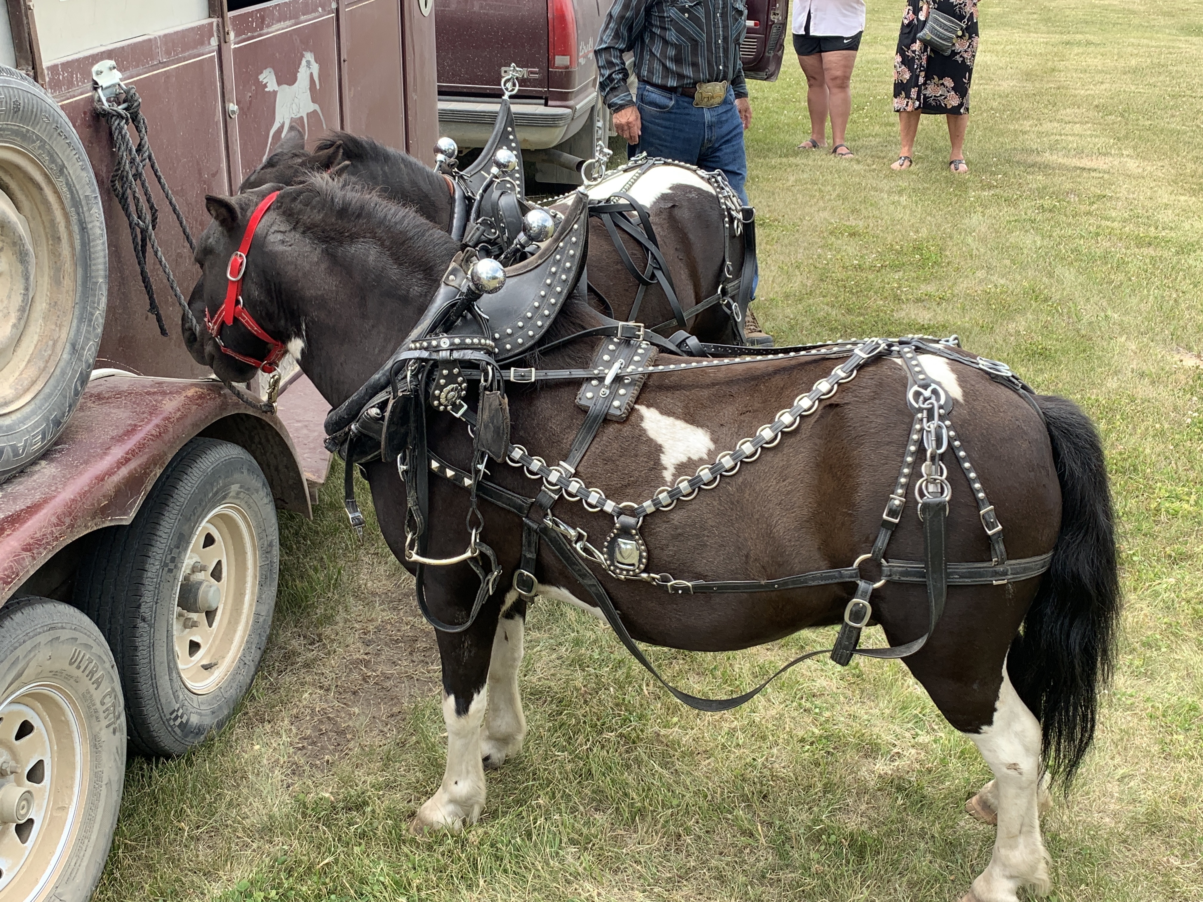 History comes to life with Three Lakes Heritage Festival ...