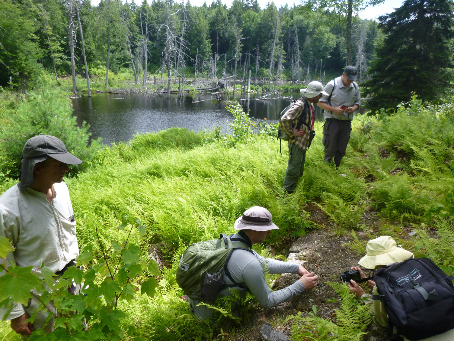Big Backyard BioBlitz foraging for Saskatchewan resident's help ...