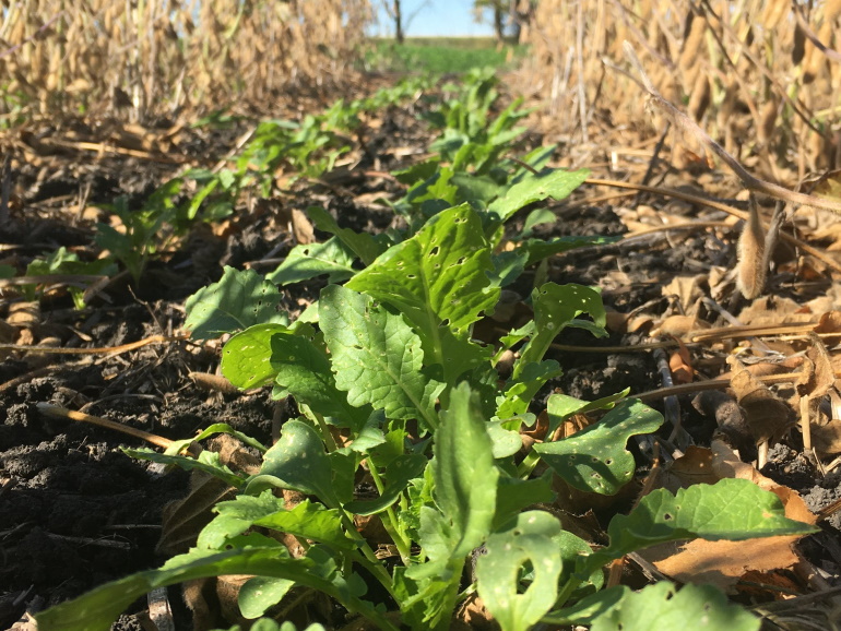 Government of Canada invests $7.7 million in Manitoba Métis Federation ...