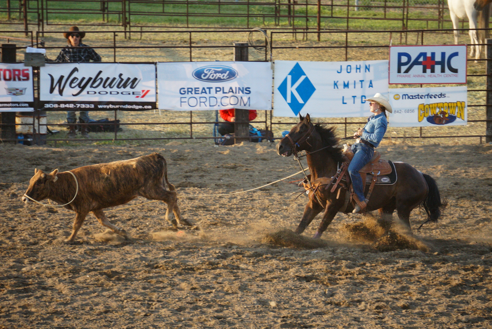 Unbridled Energy: Rodeo stars leave no bull untamed - DiscoverWeyburn ...