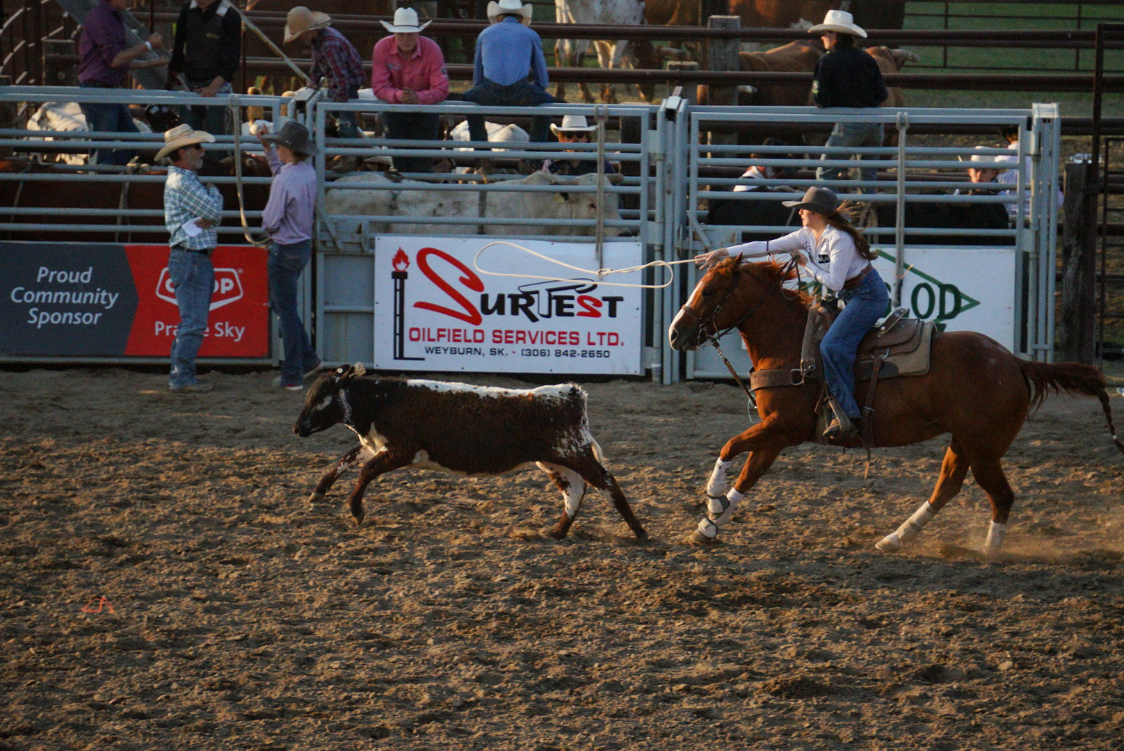 Unbridled Energy: Rodeo stars leave no bull untamed - DiscoverWeyburn ...