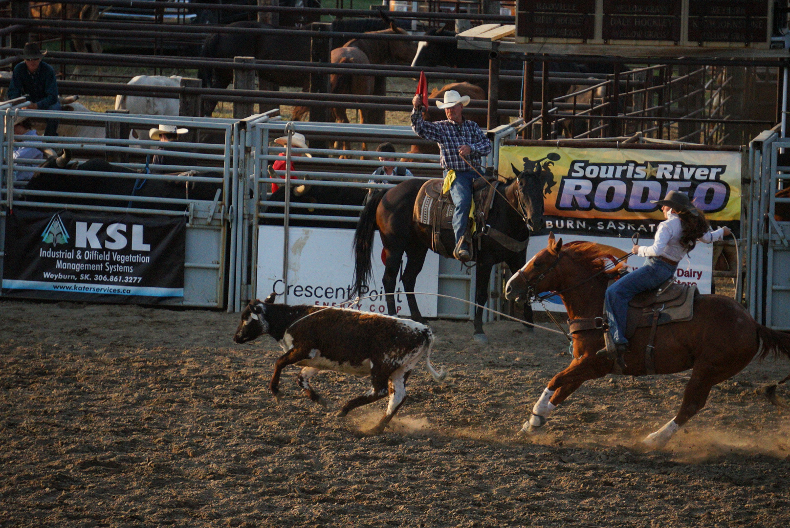 Unbridled Energy: Rodeo stars leave no bull untamed - DiscoverWeyburn ...