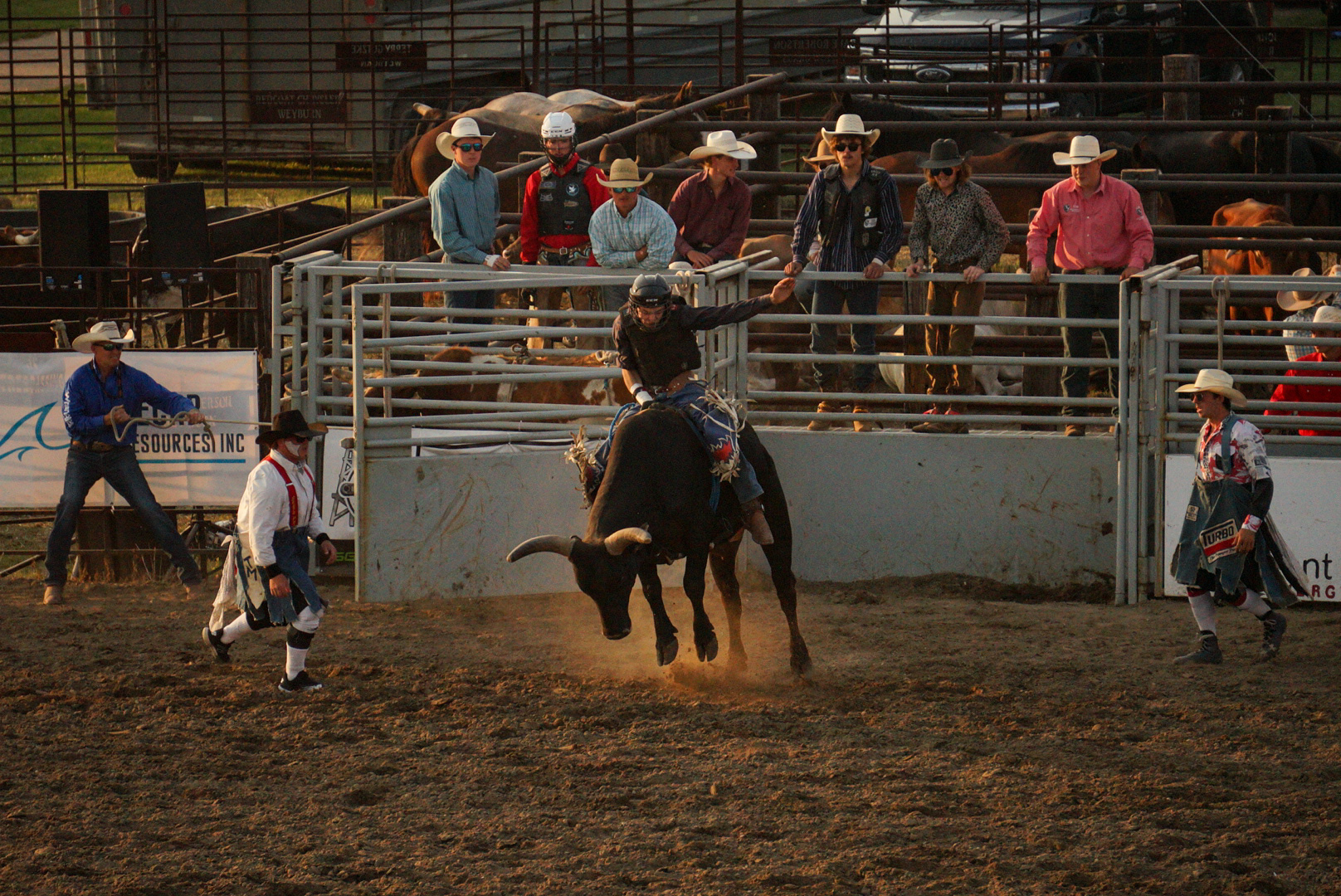 Unbridled Energy: Rodeo stars leave no bull untamed - DiscoverWeyburn ...