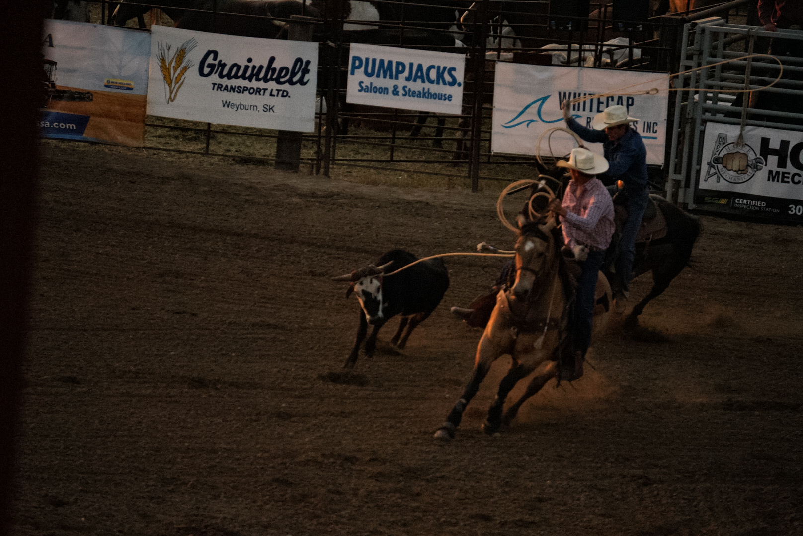 Unbridled Energy: Rodeo stars leave no bull untamed - DiscoverWeyburn ...