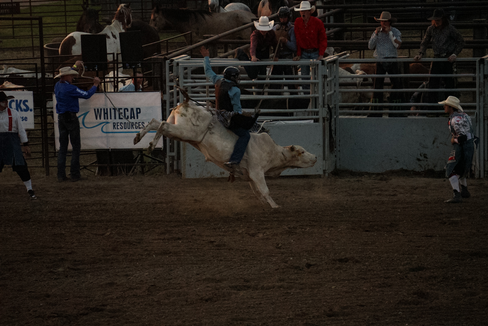 Unbridled Energy: Rodeo stars leave no bull untamed - DiscoverWeyburn ...