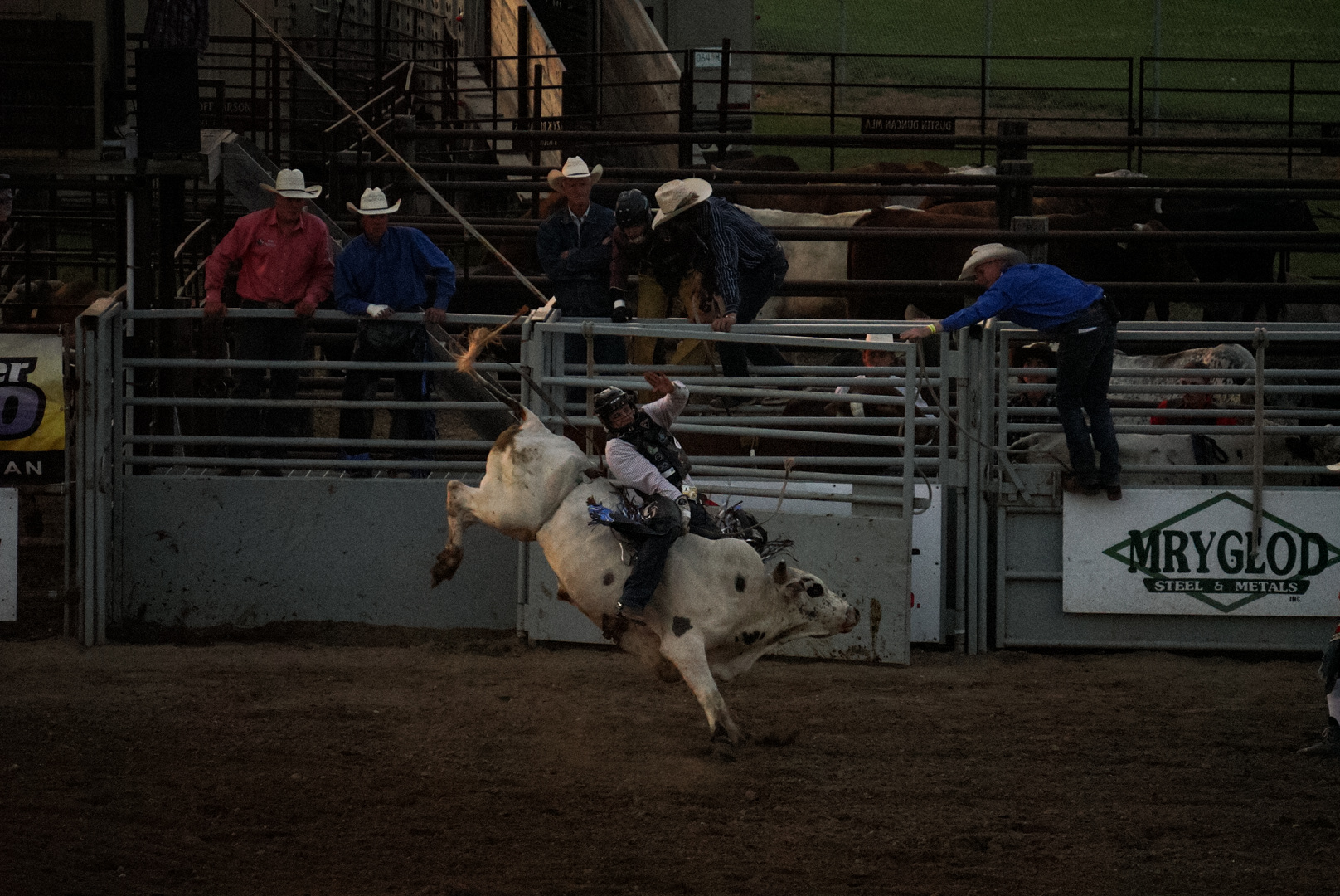 Unbridled Energy: Rodeo stars leave no bull untamed - DiscoverWeyburn ...