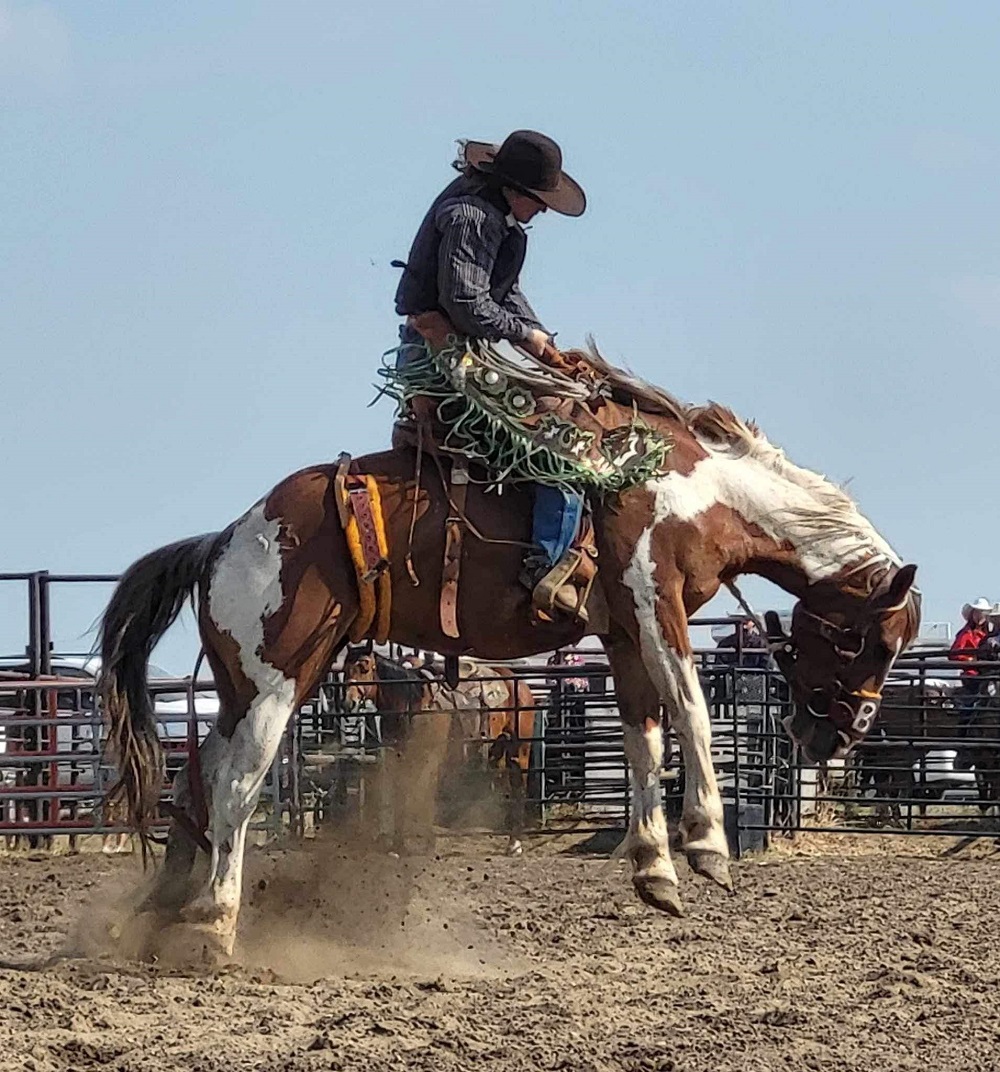 Kerrobert Rodeo a massive success - WestCentralOnline: West Central ...