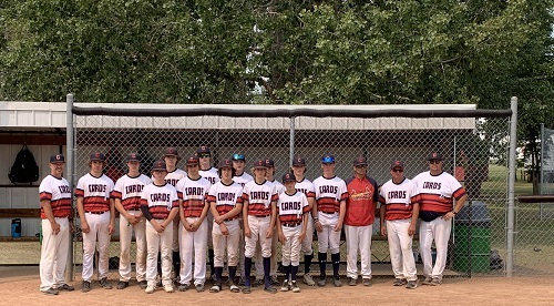 Near weekend sweep for local provincial baseball hosts ...