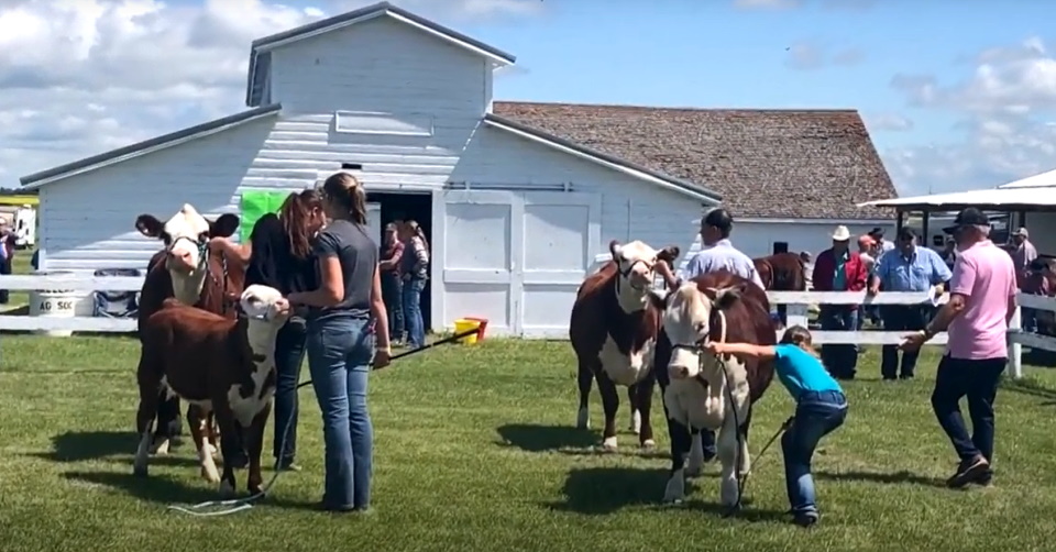 Biggest Little Fair in Saskatchewan is back this Saturday in Creelman ...