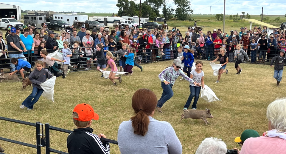 Pig Scramble, kids midway, fun for everyone at the Creelman Fair ...